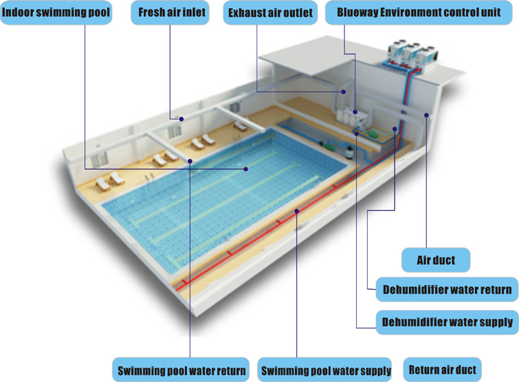 Indoor Swimming Pool Environment Control System Supplier-BLUEWAY